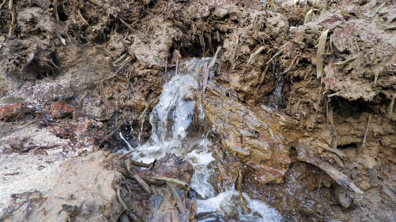 A Spring that Flows from a Dirt Wall with a Muddy Texture Stock Photo ...