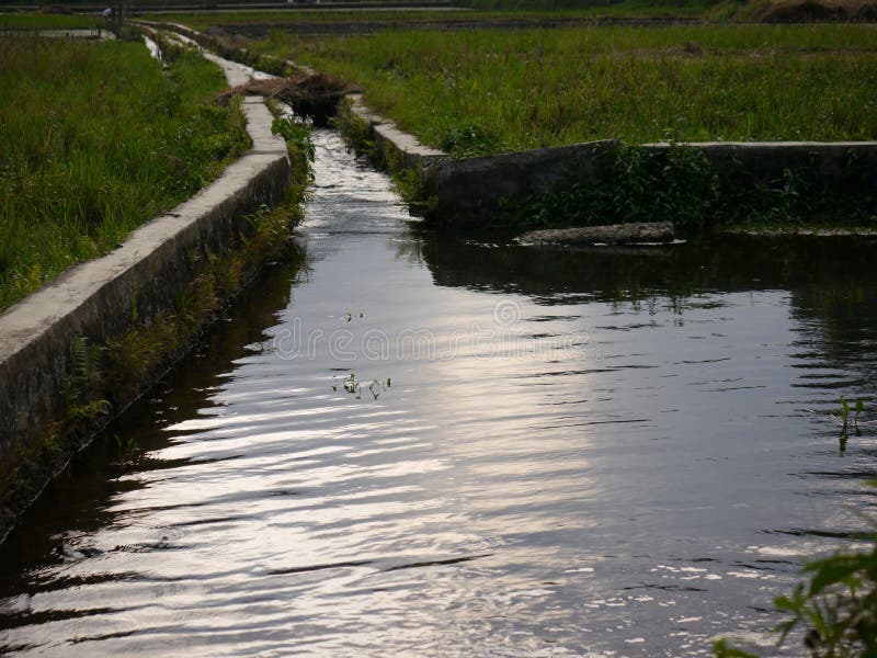 Spring that Flows through Irrigation Canals Stock Image - Image of ...