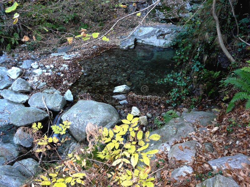 The Spring Flows from the Spring Stock Photo - Image of spring, stones ...