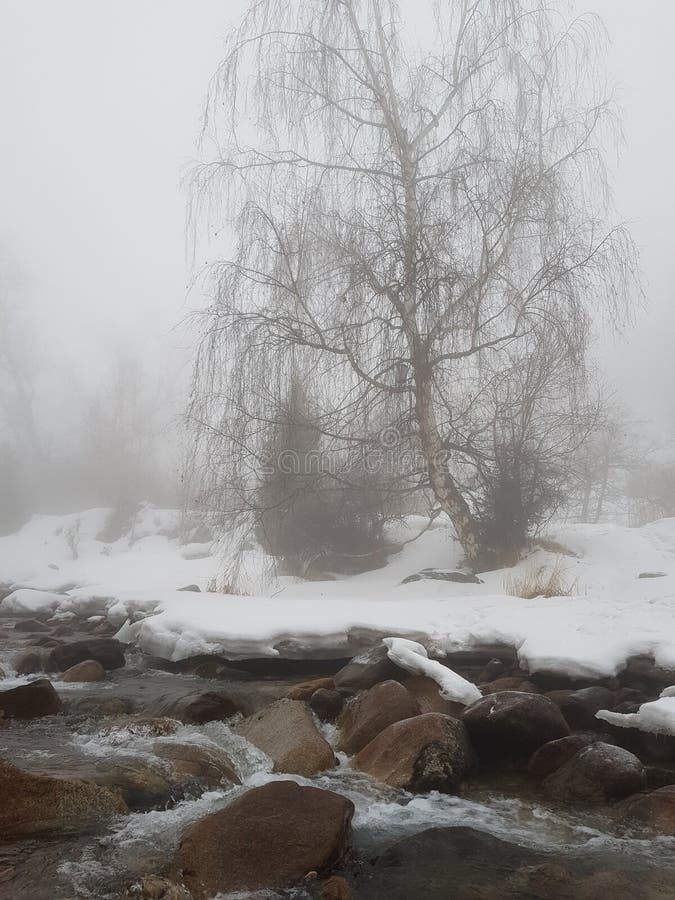 Spring fog. stock image. Image of spring, mountains - 212126003
