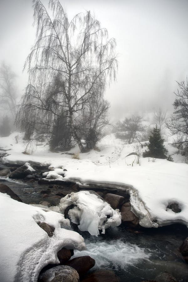 Spring fog. stock image. Image of background, morning - 212236623