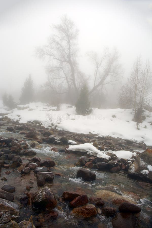 Spring fog. stock photo. Image of white, light, cirrus - 212236632