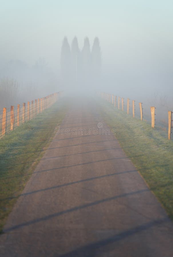 Spring fog and a path. stock photo. Image of invinity - 376589192