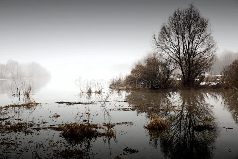 Spring fog at sunset. stock photo. Image of dawn, green - 91911240