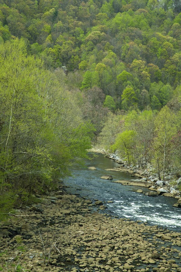 Spring Foliage, Pigeon River, East Tennessee Stock Image - Image of ...