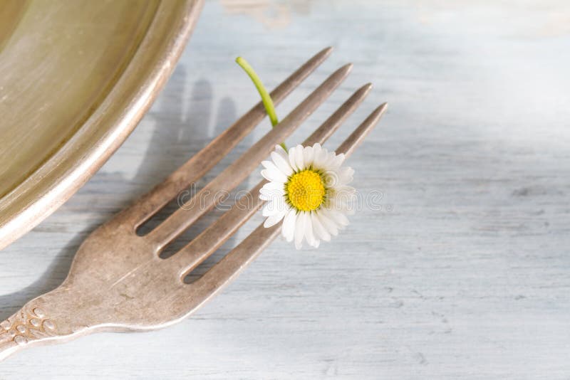 Spring Food Abstract Background with Daisy on the Fork Stock Photo ...