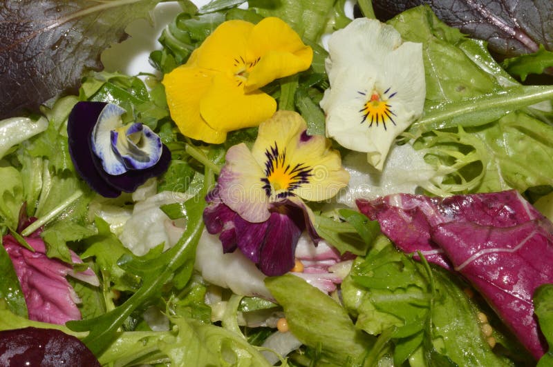 Spring Food on the Festive Table Stock Image - Image of wood, flower ...