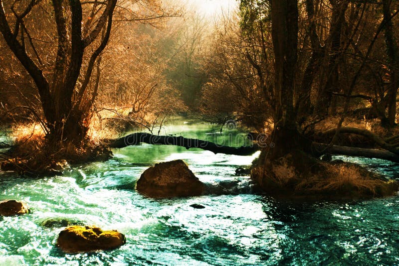 Spring forest stock image. Image of landscape, river, view - 4568567