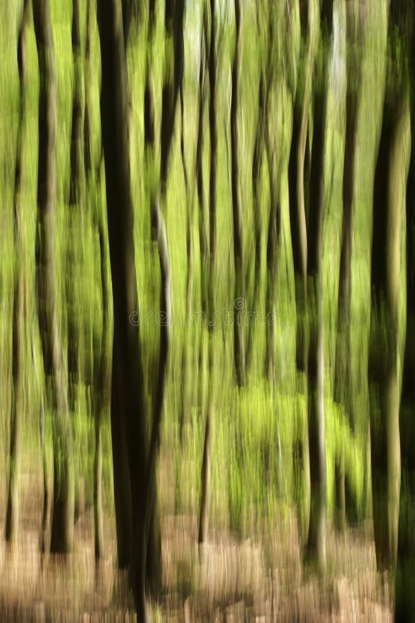 Woman Escaping through the Woods Stock Photo - Image of nature, chase ...