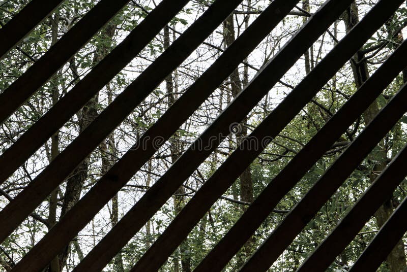 Latticenspring Stock Photos - Free & Royalty-Free Stock Photos from ...