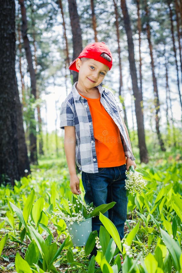 Spring in the forest stock photo. Image of blue, bouquet - 41512168