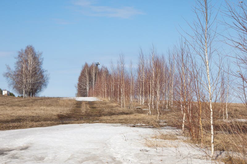 Spring in the Forest, the Grass Withered, the Last Snow, Warm Sp Stock ...