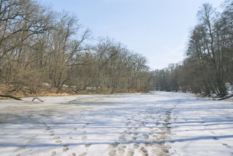 Spring Forest Lake in a Melting Snow Stock Image - Image of serene ...