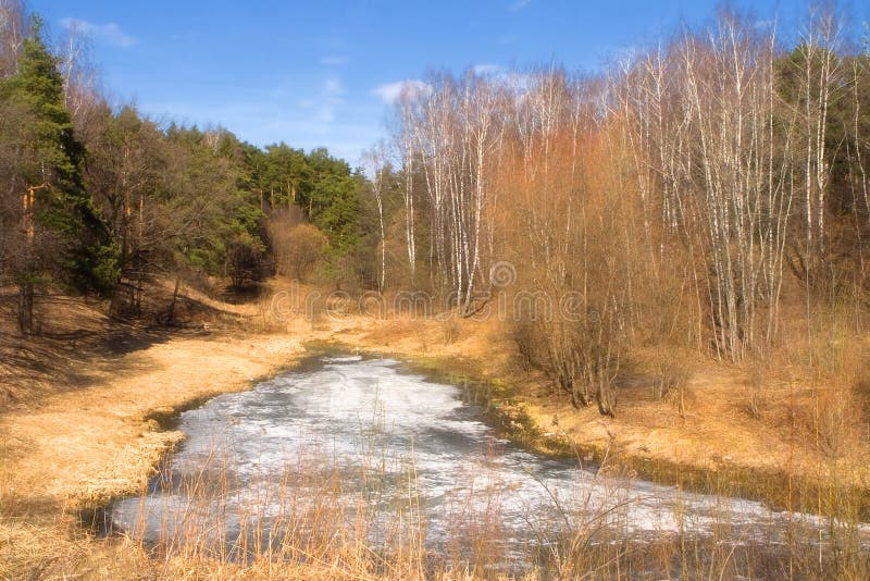 Spring Forest Landscape of Central Russia. Stock Image - Image of ...
