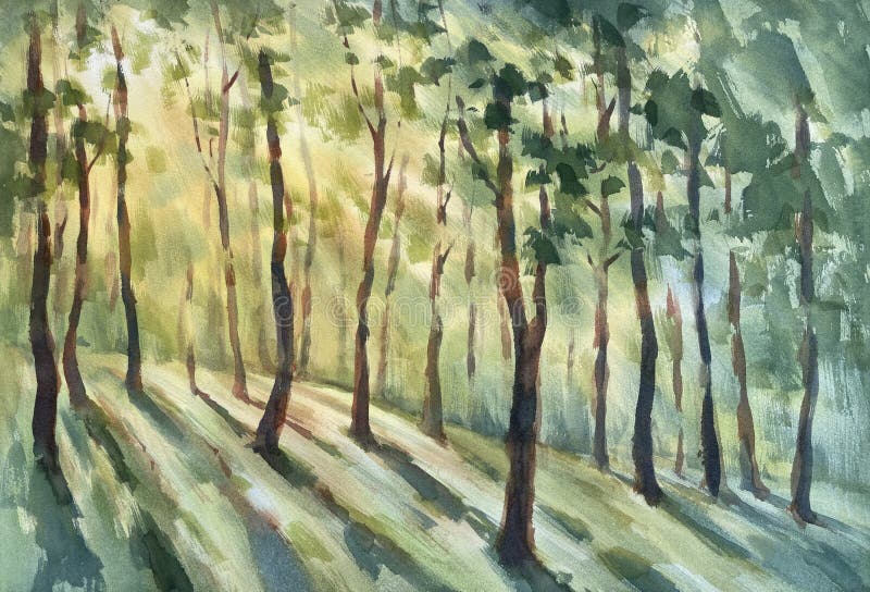 Spring Forest Landscape with Sun Light and Shadows Watercolor Bakground ...