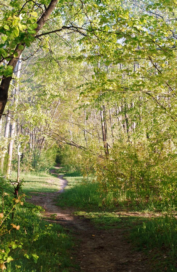 Spring Landscape Field, Field Road, Trees and Path in the Field Stock ...