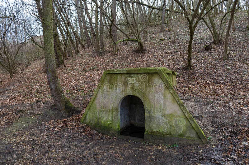 Spring Forest Landscape. Trees in the Forest Line the Path Stock Photo ...