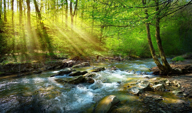 Spring Forest Nature Landscape, Beautiful Spring Stream, River Rocks in ...