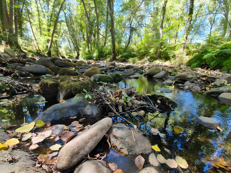 350,821 River Rocks Stock Photos - Free & Royalty-Free Stock Photos ...