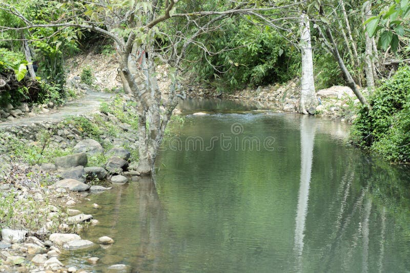 Spring Forest Nature Landscape, Beautiful Spring Stream, River Rocks in ...