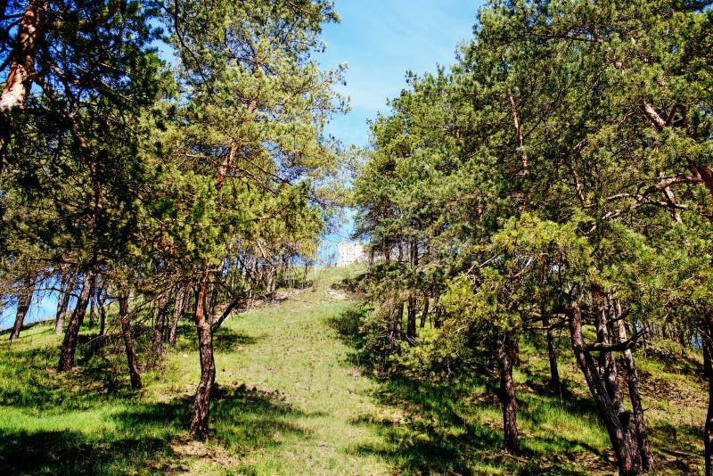Spring Forest Near the Castle Kremenets Stock Photo - Image of scenery ...