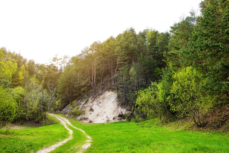 Spring Forest Near the Castle Kremenets Stock Image - Image of branch ...
