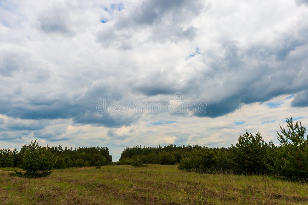 Spring Forest Near the Village11 Stock Photo - Image of outdoor, tree ...