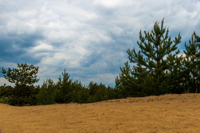 Spring Forest Near the Village1 Stock Image - Image of park, light ...