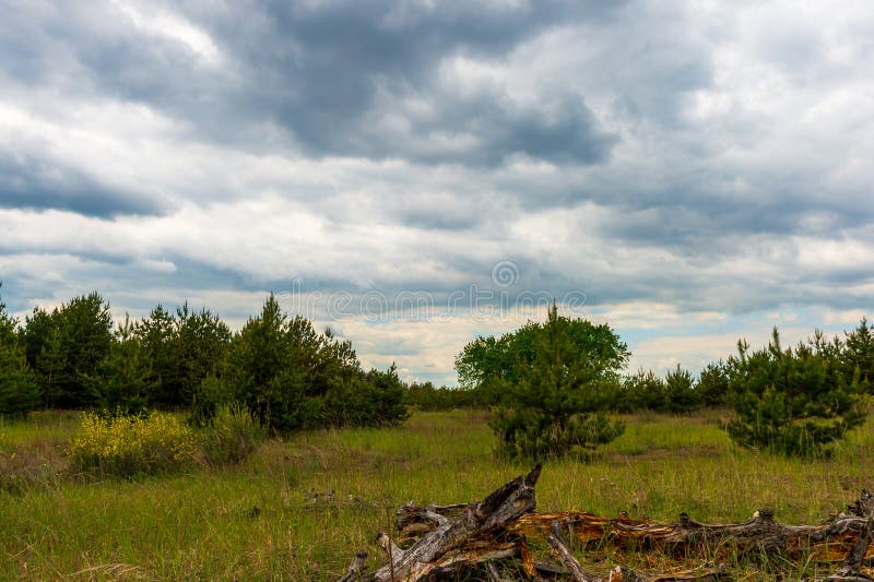 Spring Forest Near the Village3 Stock Photo - Image of spring, natural ...
