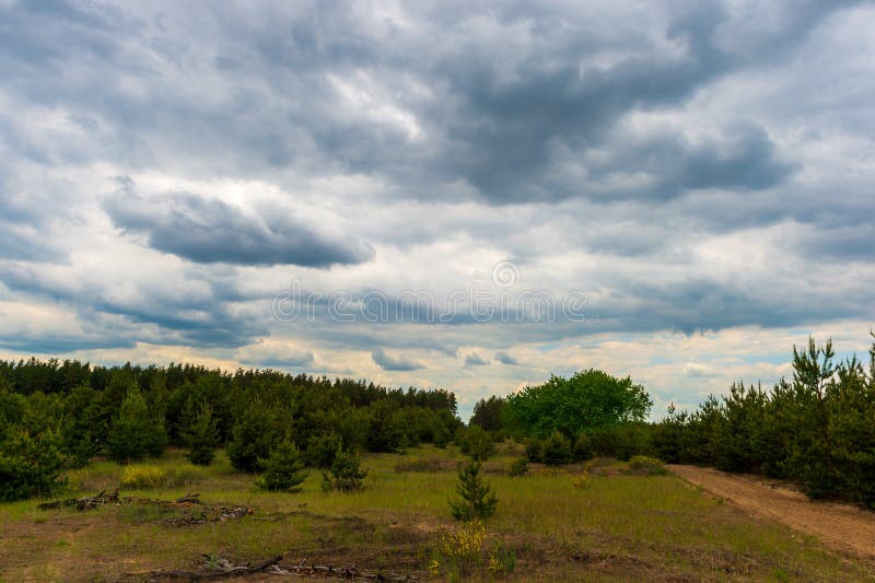 Spring Forest Near the Village14 Stock Photo - Image of nature, blue ...