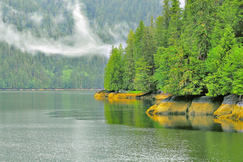 Spring Forest by the Ocean Coast. Stock Photo - Image of water, quay ...