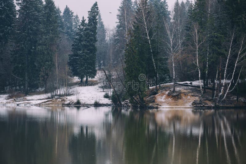 Spring Forest with Remnants of Snow on the Shore of the Lake Stock ...