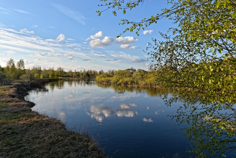 Spring on the forest river stock image. Image of environment - 210717961