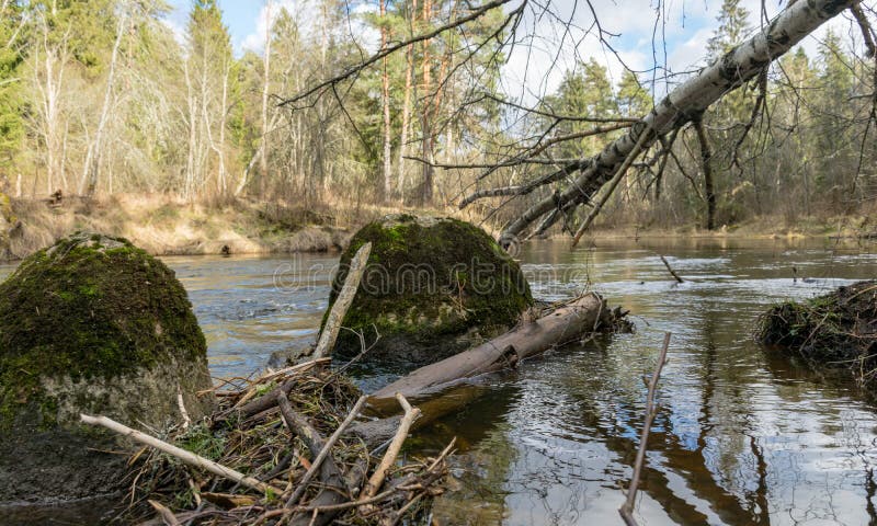 Spring Forest River Rocks View Stock Photo - Image of environment, fall ...