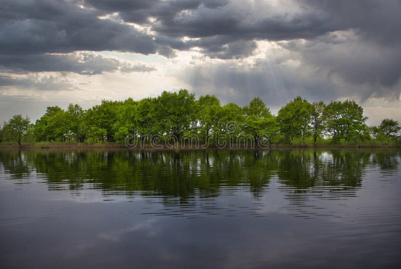 Spring on the Forest River Young Greenery Over the Water Stock Photo ...