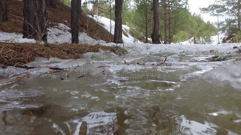 Meltwater Flows through a Storm Drain Pipe . Concept of the Onset of ...