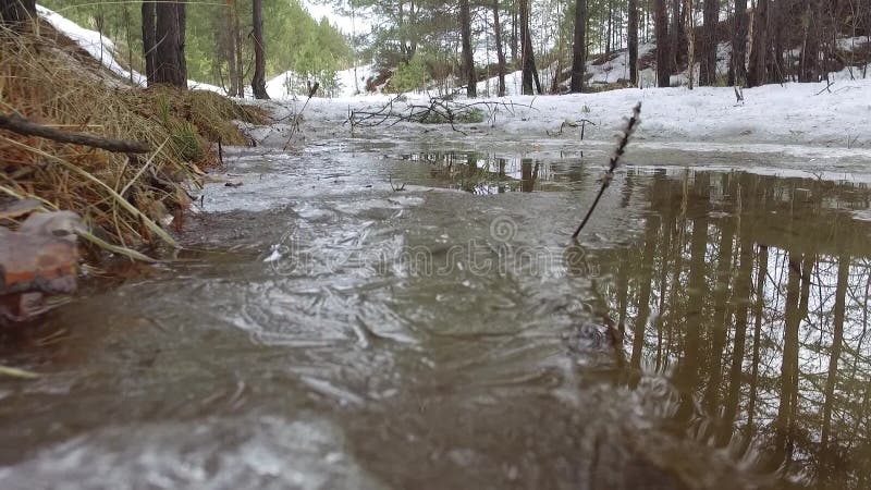 Meltwater Flows through a Storm Drain Pipe . Concept of the Onset of ...