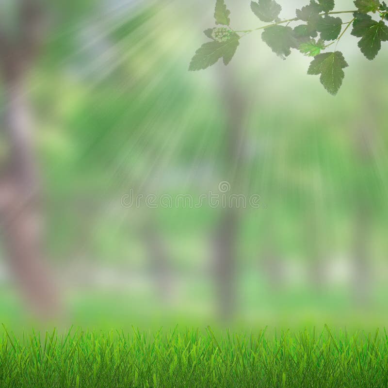 Spring forest stock image. Image of environment, field - 36828285