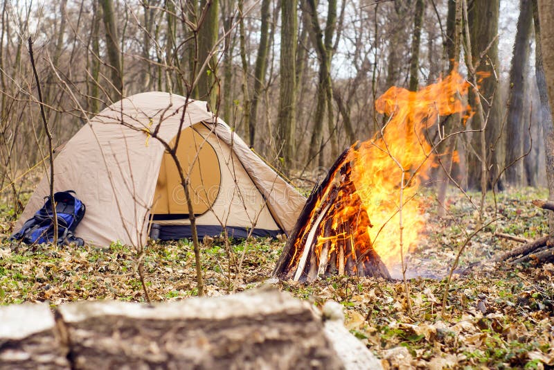 In the Spring Forest a Tent with a Fire a Stock Image - Image of love ...