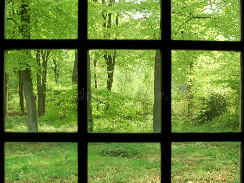80,989 Forest Window Stock Photos - Free & Royalty-Free Stock Photos ...