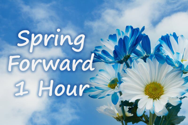 Spring Forward 1 Hour Daylight Savings Time Message with Blue Daisies ...