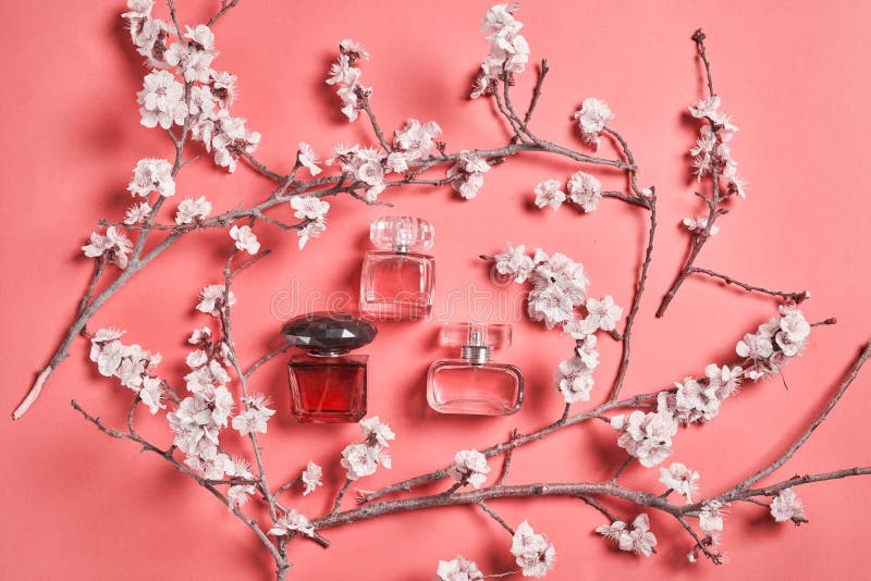 Spring Fragrances and Perfumes Stock Photo - Image of aroma, march ...