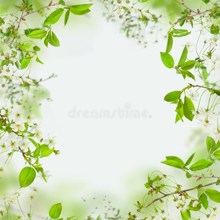 934,728 Nature Background Frame Stock Photos - Free & Royalty-Free ...