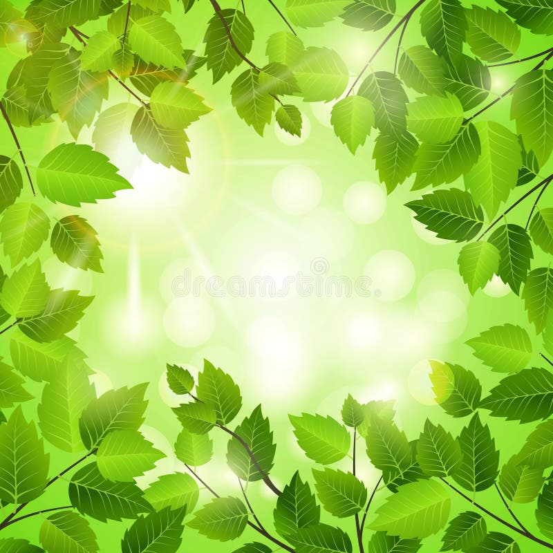 Spring Frame of Green Leaves Stock Vector - Illustration of copyspace ...