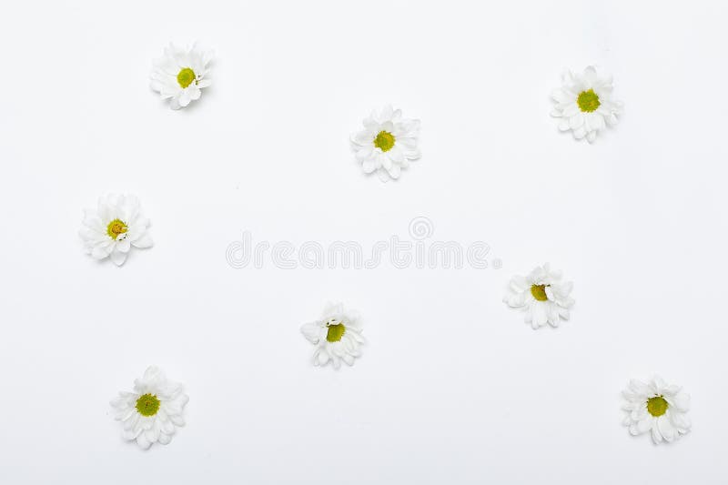 Spring Frame of Small Flowers and Daisy, Floral Arrangement. Stock ...