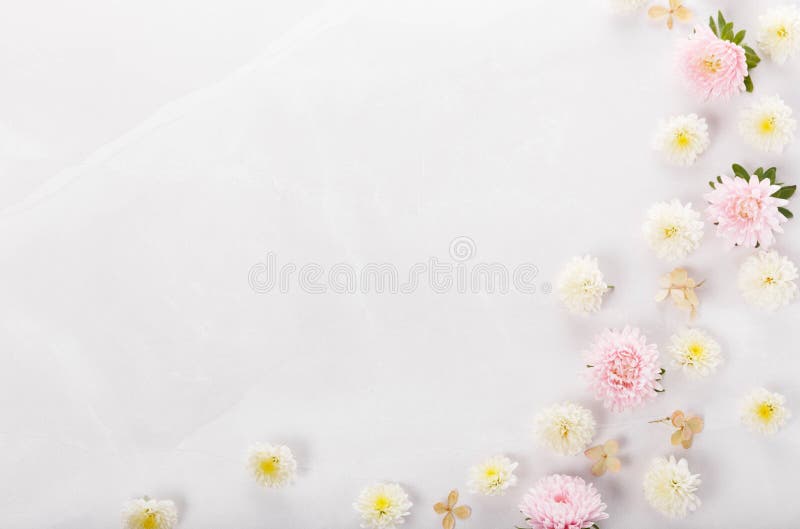 Spring Frame of Small Flowers and Daisy, Floral Arrangement Stock Image ...