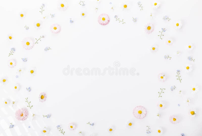 Spring Frame of Small Flowers and Daisy, Floral Arrangement Stock Photo ...