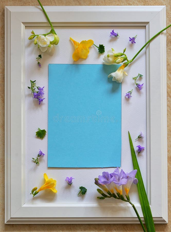 Spring Freesia Flowers on Empty Photo Frame Stock Image - Image of ...
