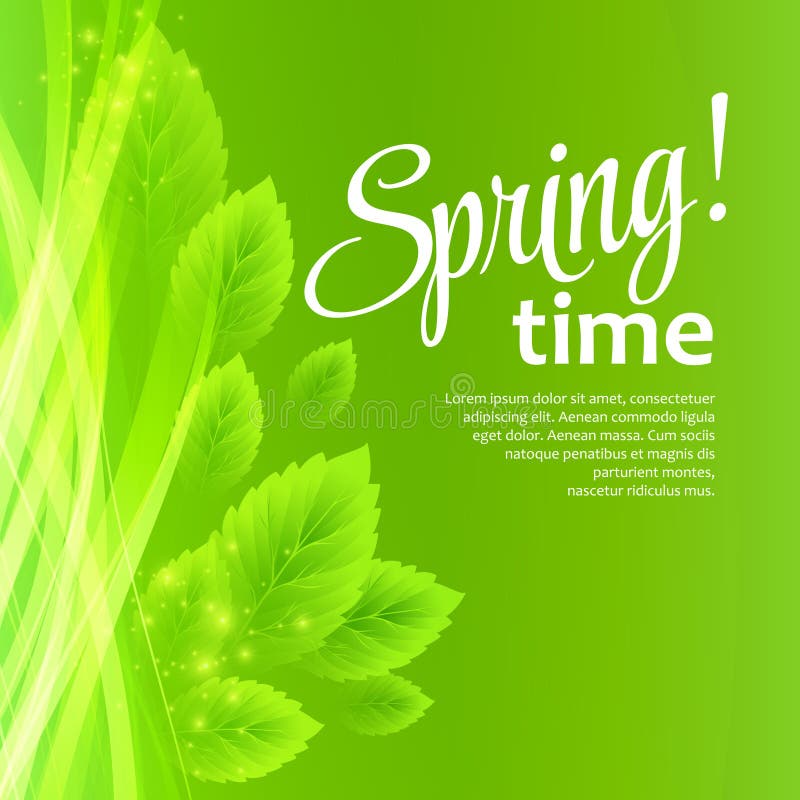 Spring Fresh Green Leaves. Vector Illustration Stock Vector ...