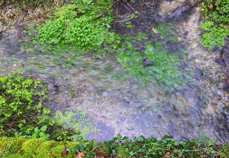Spring of Fresh Water that from the Resurgence Forms a Small Stream ...